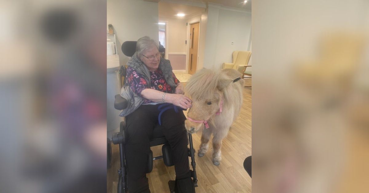 MHA Chapel Fields welcomes special four-legged visitors for residents ...