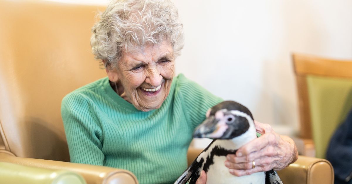 Penguin visitors bring joy to Oxfordshire care home on International ...