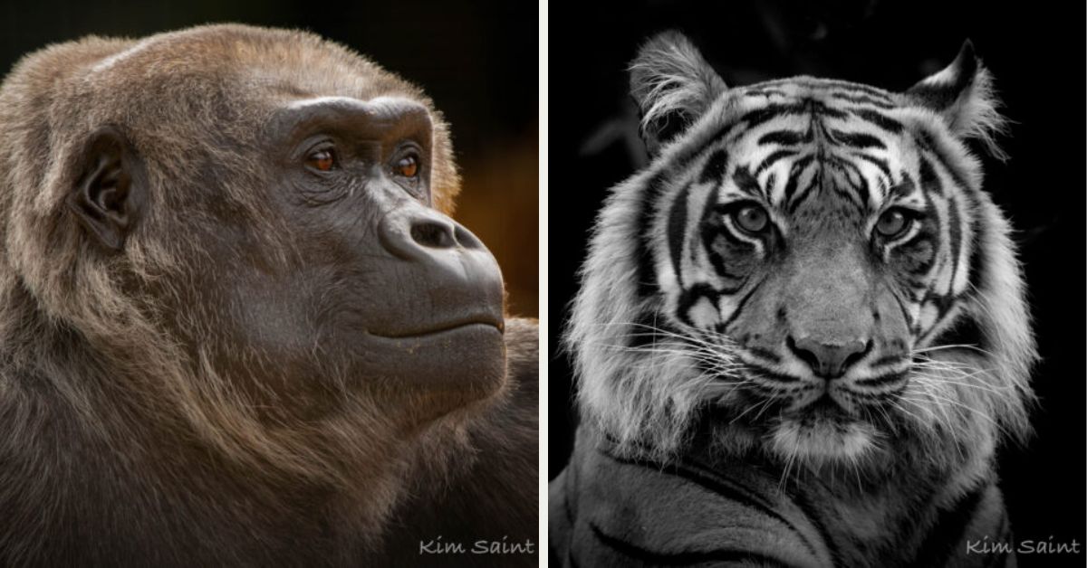 Home manager at MHA Bradbury Grange to showcase her photography skills ...